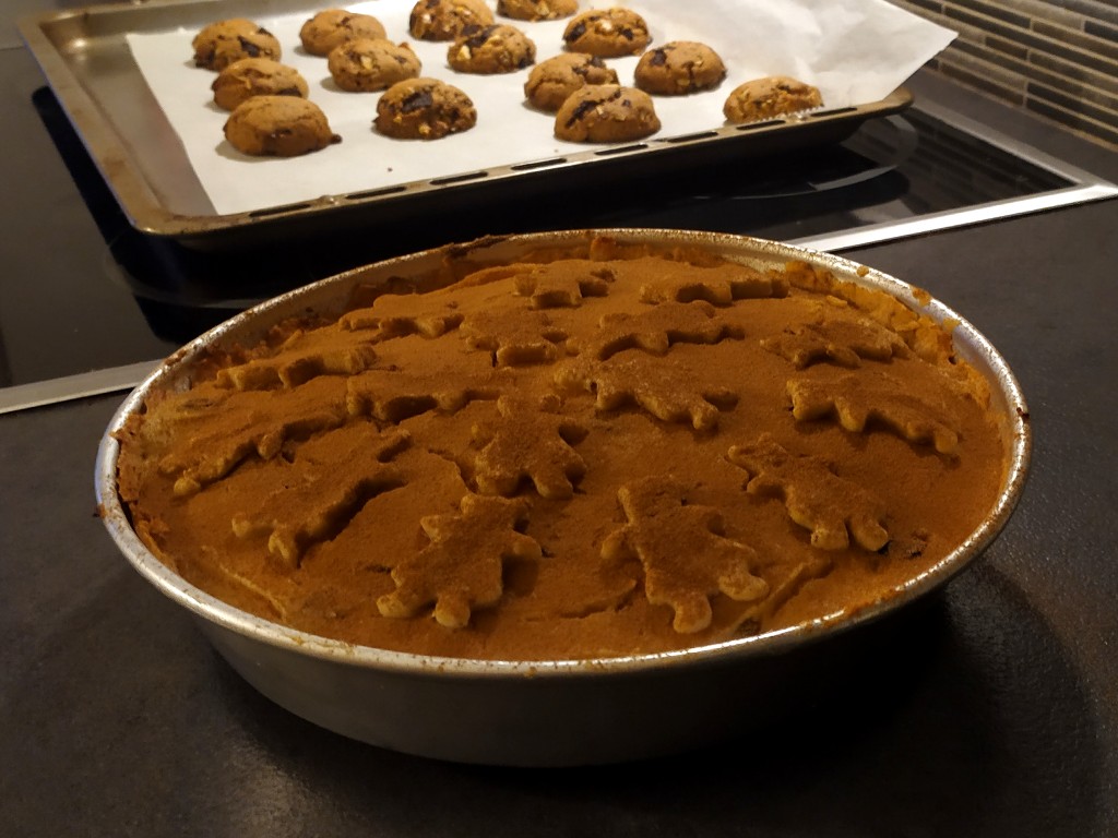 Δοκιμάστε μια ελληνική flan με σιμιγδαλόκρεμα, κανέλα και cranberries ...