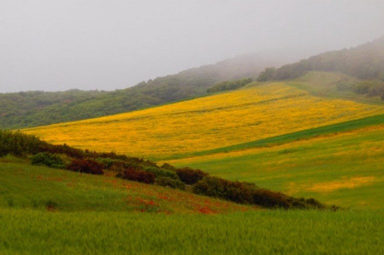 Ιn the Thessalian plain with a batzina – Eat Dessert First Greece