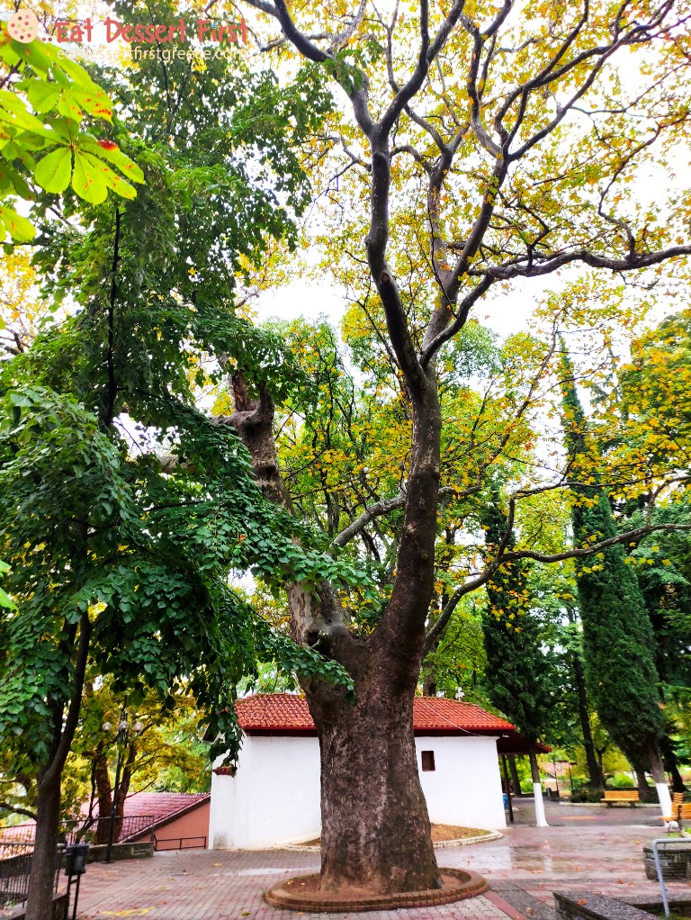 Starting from Pozar Thermal Baths, part c – Eat Dessert First Greece